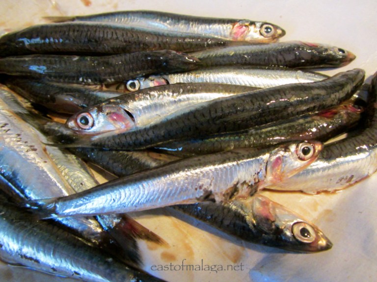 Let’s Talk About Tapas: Boquerones | East of Málaga